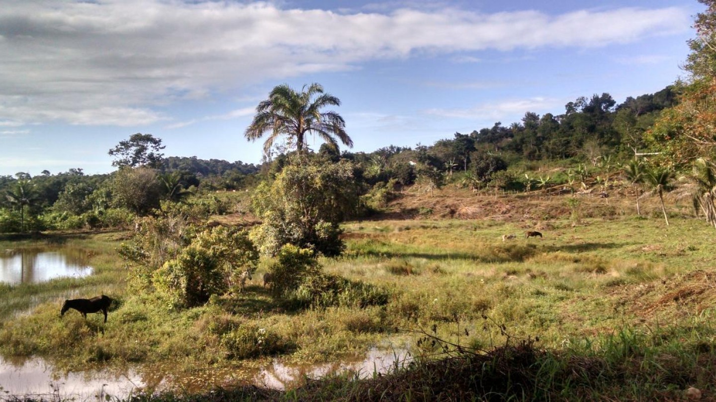 Restoring Ecology and Revitalizing Society in Brazil's Atlantic ...