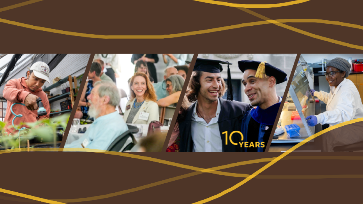 2024: A landmark year of impact for IBES | Institute at Brown for ...